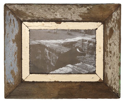 Luna Design | Changemaker